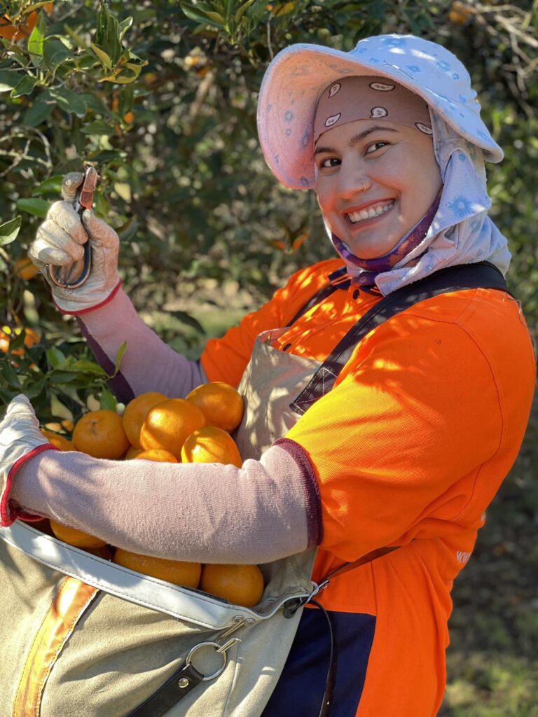 Tips to Hiring Farm Labor – Gurkhas Harvesting